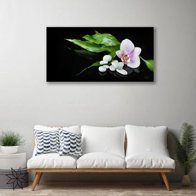 Obraz na plátně Květ Kameny Listí 125x50 cm