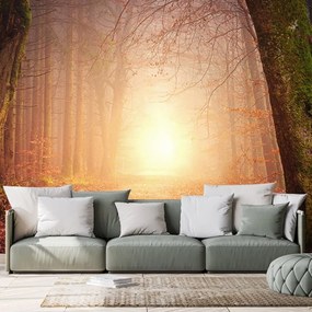 Samolepící tapeta les v pohádkových barvách - 450x300 cm