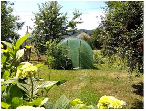 Foxigy Zahradní fóliovník 2x2m s UV filtrem STANDARD