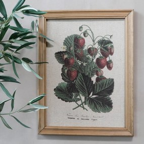 Chic Antique Botanický obraz v rámu Strawberry 43x33cm, červená barva, zelená barva, přírodní barva, dřevo, textil