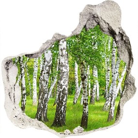 Wallmuralia Nálepka fototapeta 3D výhled Břízový les 75x75 cm