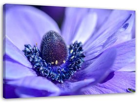 Gario Obraz na plátně Modrá a fialová květina Rozměry: 60 x 40 cm