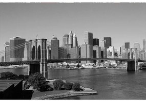 DIMEX | Samolepicí vliesová fototapeta na zeď Manhattan v šedé barvě MA-5-0010 | 375 x 250 cm | černobílá