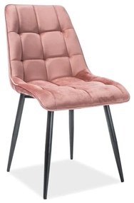 SIGNAL Jídelní židle - CHIC Velvet, různé barvy na výběr Čalounění: růžová (Bluvel 52)