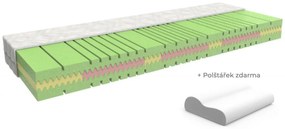 MPO Matrace Atlanta 100x200 cm Potah matrace: S aloe vera