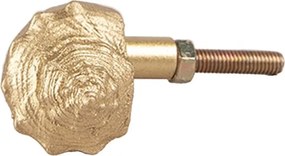 Zlatá úchytka ve tvaru mušle - 5*3*3 cm / S2 cm