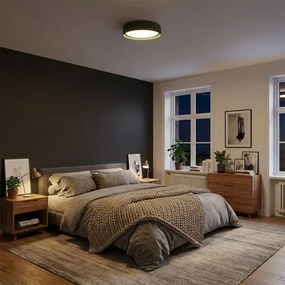 BRILAGI - LED Stropní svítidlo LUCIA LED/24W/230V pr. 31 cm zelená