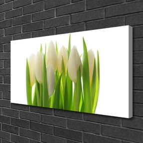 Obraz na plátně Tulipány Rostlina Příroda 120x60 cm