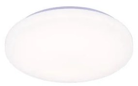 LED Stmívatelné stropní svítidlo OPAL LED/48W/230V Wi-Fi Tuya + DO