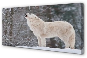Obrazy na plátně Vlk v zimě lese 100x50 cm