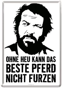 Postershop Plechová pohlednice - Ohne Heu Kann Das Beste Pferd Nicht Furzen