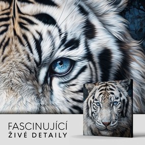 Obraz na plátně - Bílý Tygr, Ledový pohled, Makro portrét, Králové divočiny FeelHappy.cz Velikost obrazu: 80 x 80 cm