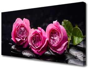 Obraz na plátně Růže Kameny Zen Lázně Příroda 140x70 cm