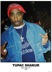 Plakát, Obraz - Tupac Shakur - N.Y.C 1993, (59.4 x 84.1 cm)