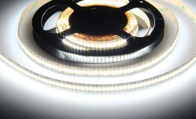 LED pásek bílý LED pásek 240LED/m, 24W/m, 12V - 075073 - T-LED