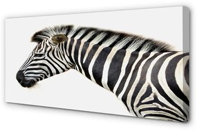 Obrazy na plátně zebra 120x60 cm