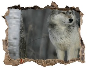 Wallmuralia Díra 3D fototapeta na stěnu Šedý vlk 95x64 cm