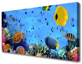 Obraz na plátně - Mořské akvárium 140 x 70 cm