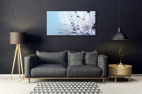 Obraz na skle Pampeliška Rostlina 125x50 cm