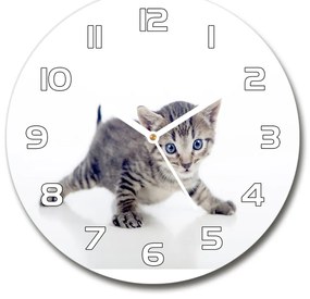 Wallmuralia Skleněné nástěnné hodiny kulaté Malá kočka fi 30 cm