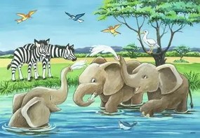 Ravensburger Zvířata z celého světa / 2x12 dílků / od 3 let