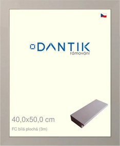 DANTIK rámeček 40x50 | FC Bílá plochá (Plexi Čiré)