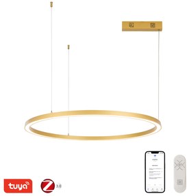 Immax NEO FINO NEW Smart závěsné svítidlo 1 kruh, 80cm, 60W, zlaté, Zigbee 3.0