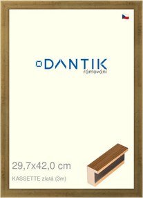 DANTIK rámeček 29,7x42 | KASSETTE zlatá (Plexi Čiré)