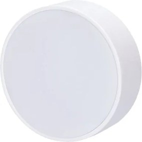 Ecolite Bílý přisazený LED panel s tenkým rámečkem kulatý 300mm 48W WFPR03-48W