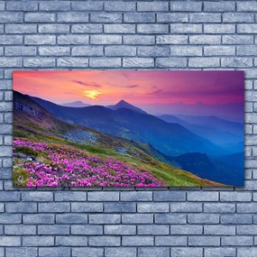akrylový obraz Hory Louka Květiny Krajina 120x60 cm