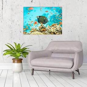 Skleněný obraz podmořského světa (70x50 cm)