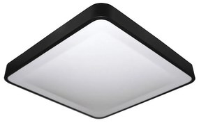 LED Stropní svítidlo WILTON LED/24W/230V černá