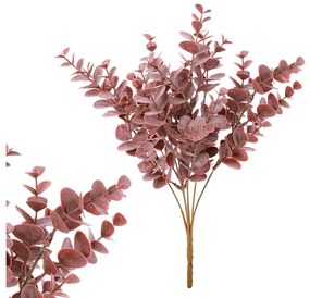 Eukalyptus ve fialové barvě, trs SG6029-PUR