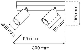 Bodové svítidlo HUDSON 2xGU10/8W/230V bílá