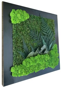 WOODILO Obraz ze stabilizovaného mechu a rostlin 110 Rozměr obrazu: 40x40 cm, Barva rámu: Ořech tmavý (mořená borovice), Síla rámu (pohledová): 2,5 cm