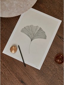 Plakát 50x70 cm Ginkgo Leaf – Ana Frois – The Poster Club