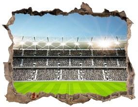 Wallmuralia Samolepící díra na stěnu nálepka Stadion 95x64 cm