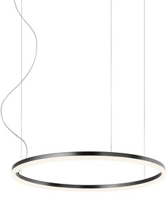 Redo group Redo Orbit direct, závěsné kruhové svítidlo, 40,5W LED 4000K DALI, černá, prům. 60cm