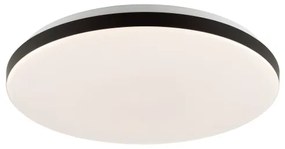 Brilliant - LED RGBW Stmívatelné stropní svítidlo LIVIO LED/20W/230V + DO