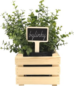 AMADEA Dřevěný zápich - cedulka na bylinky, výška 15 cm, český výrobek