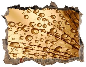 Wallmuralia Samolepící nálepka Semena pampelišky 95x64 cm