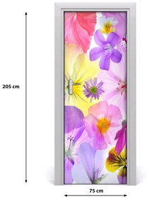 Fototapeta na dveře Barevné květiny 75x205 cm