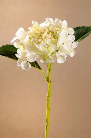 Paramit GERMAN HYDRANGEA Aranžovací květina bílá 45 cm