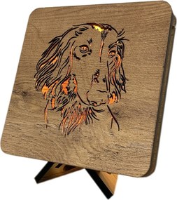 Li-Go "Jezevčík dlouhosrstý " lampa 19x19 cm provedení povrchu: dub