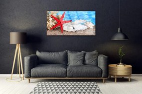 Obraz na skle Hvězdice Mušle Příroda 140x70 cm