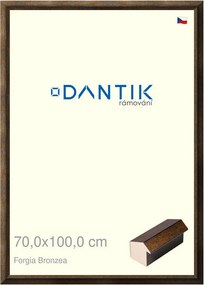 DANTIK rámeček 70x100 | Forgia Bronzea (Plexi Čiré)