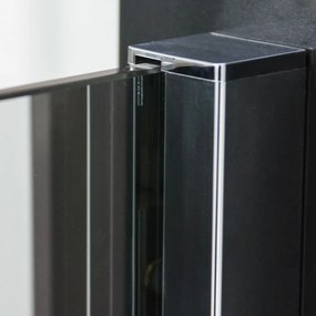 Roth AMBIENT LINE AMD2 Posuvné sprchové dveře pro instalaci do niky 150 cm
