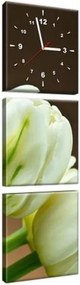 Tištěný obraz s hodinami Okouzlující bílé tulipány 30x30cm ZP1257A_1AI