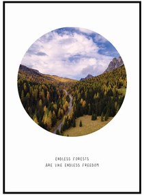 Plakát Endless forest Rozměr plakátu: A4 (21 x 29,7 cm)