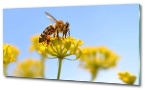 Wallmuralia Fotoobraz na skle Včela na květině 100x50